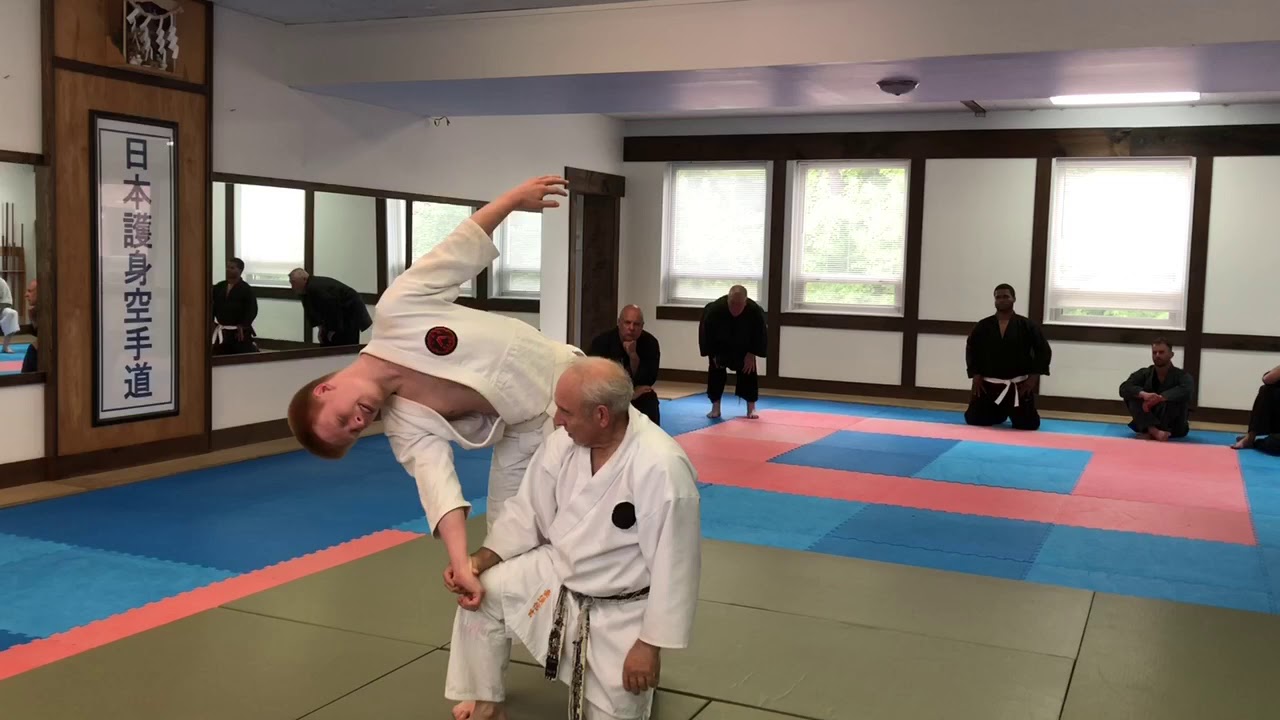 Kosho Ryu and Daito Ryu seminar, Albany NY