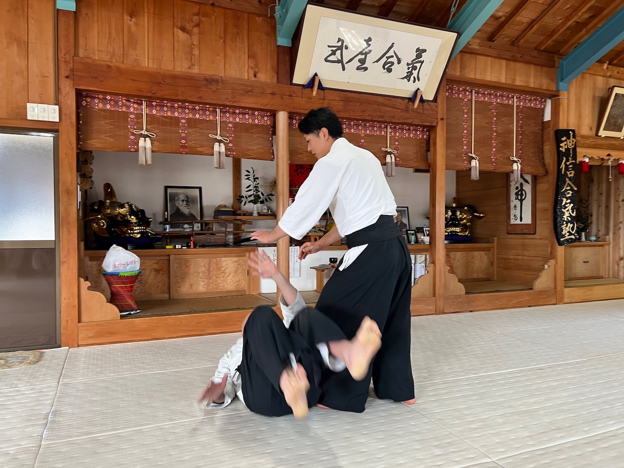 Aikido in the Eye of a Hurricane: Katate-dori Irimi-nage